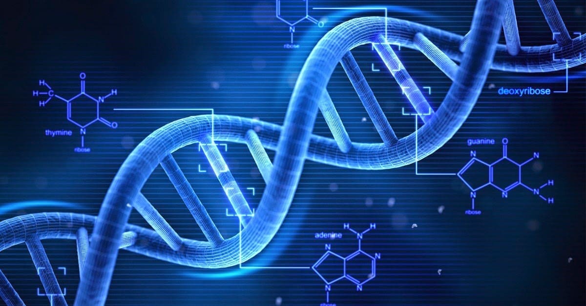 Jurusan BIOINFORMATIKA?? Ini dia Perbedaan Bioinformatika dengan Teknik ...